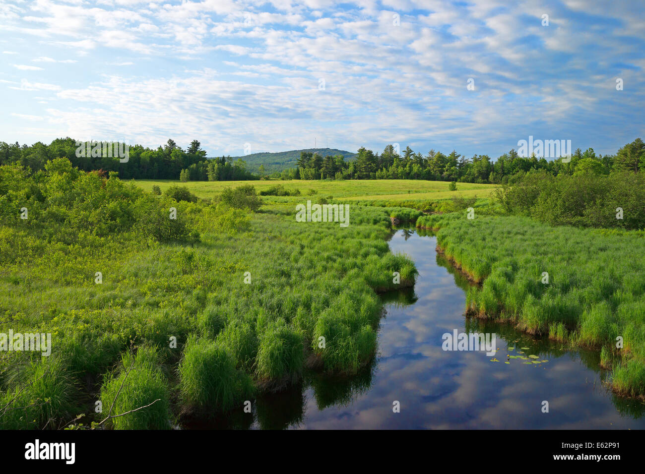 A slow moving stream with reflection of the sky through the rural lush ...