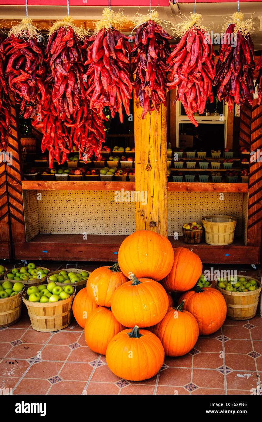 Pumpkins at a Roadside Stand, Velarde, New Mexico Stock Photo - Alamy