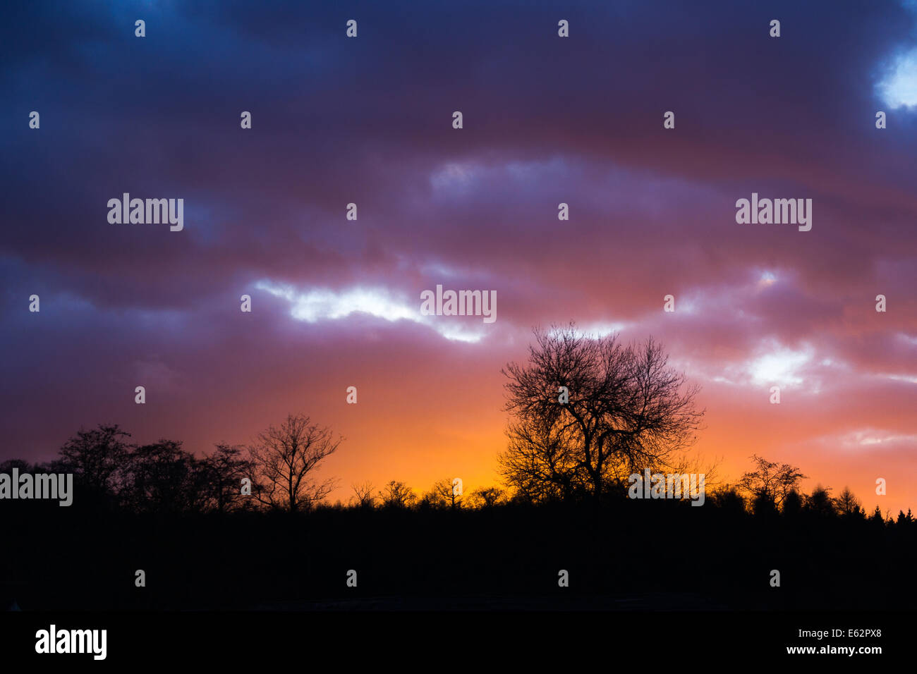 Bedfordshire uk hi-res stock photography and images - Alamy