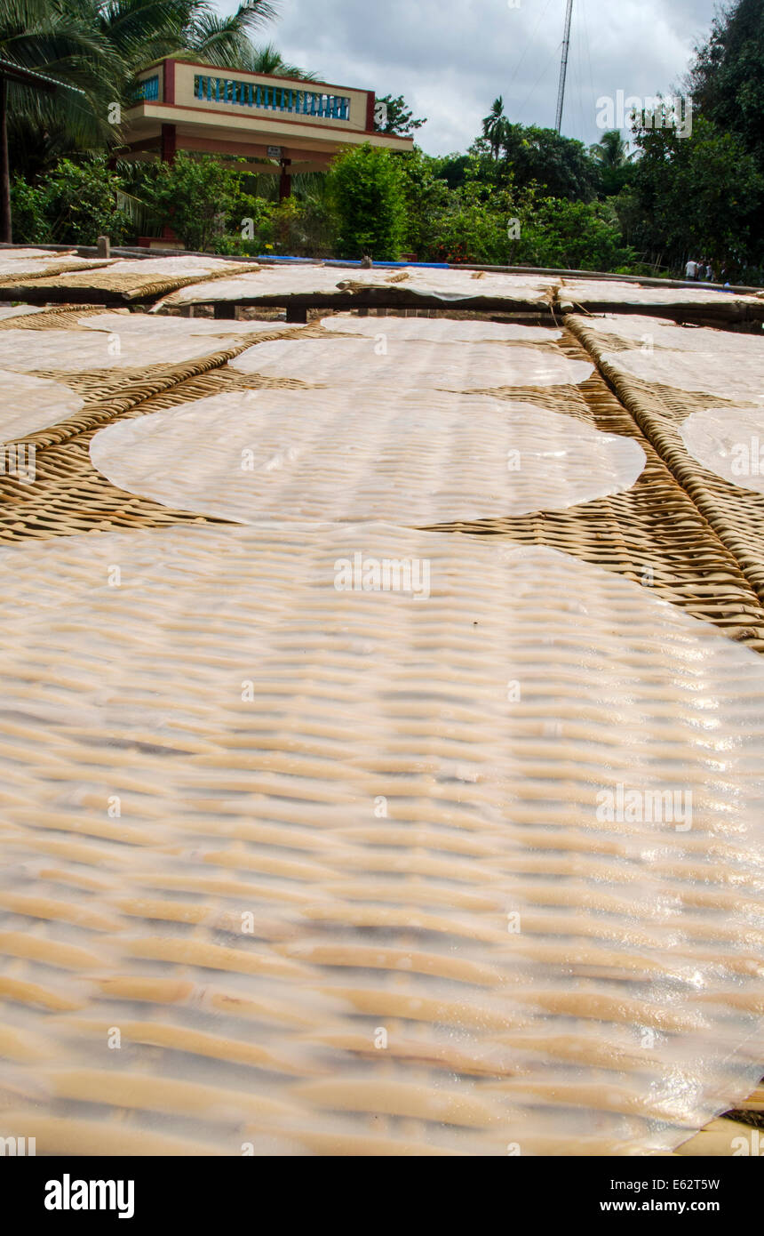 Rice paper drying in the sun, Mekong Delta, Vietnam Stock Photo - Alamy