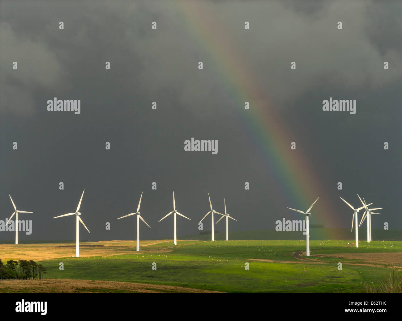 Dun Law wind farm on Soutra Hill south of Edinburgh, Scotland, with ...
