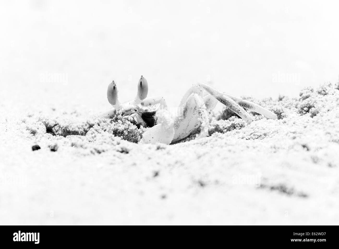 Hole in the sand Black and White Stock Photos & Images - Alamy