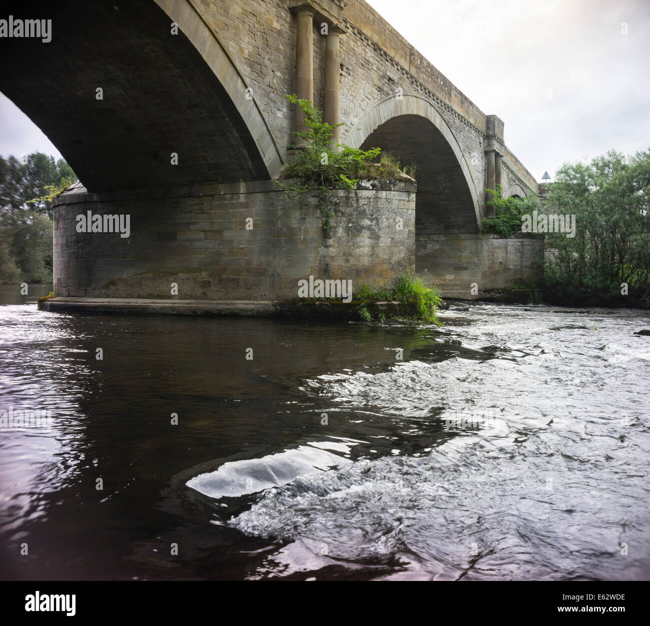 River Teviot and Kelso's Teviot Bridge, Scottish Borders, Scotland ...