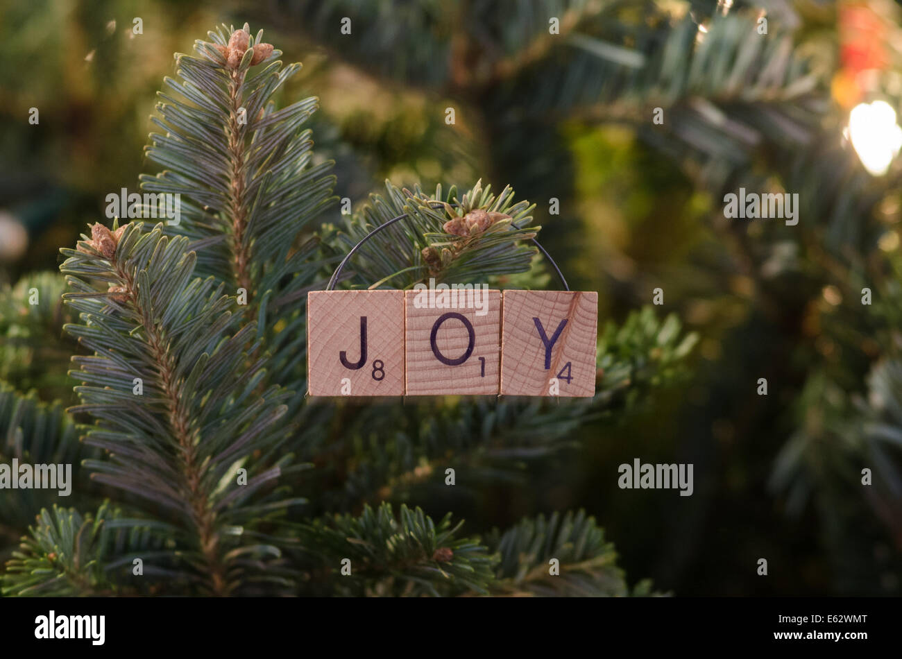 The letter joy is spelled out with lettered wooden tiles to create a ...