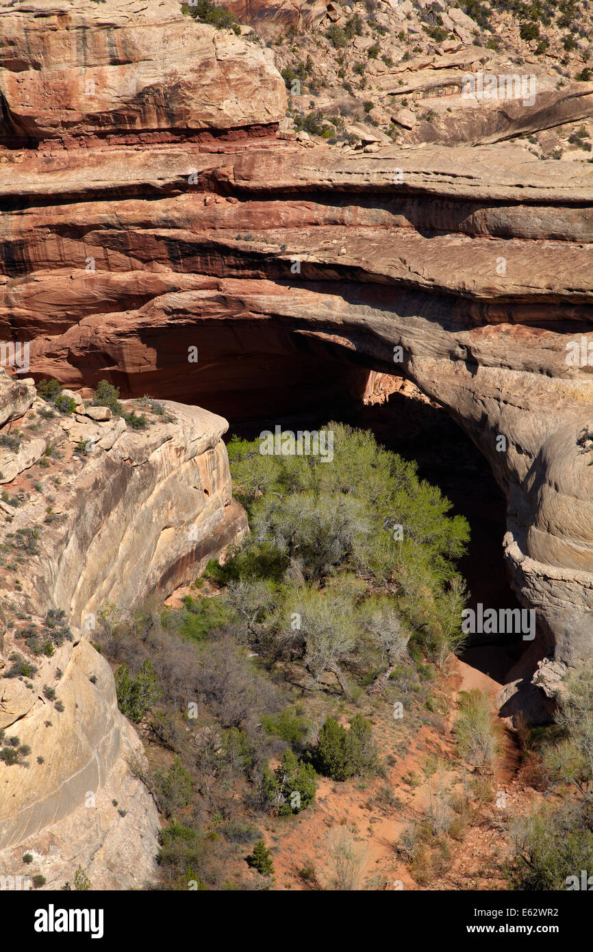 Kachina Natural Bridge, Natural Bridges National Monument, Utah, USA ...