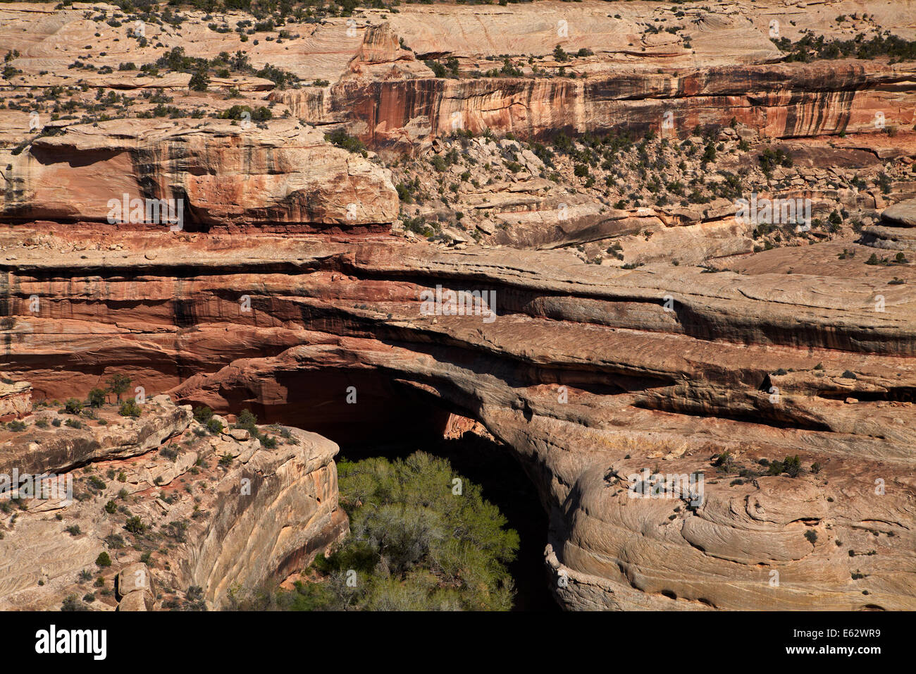 Kachina Natural Bridge, Natural Bridges National Monument, Utah, USA ...