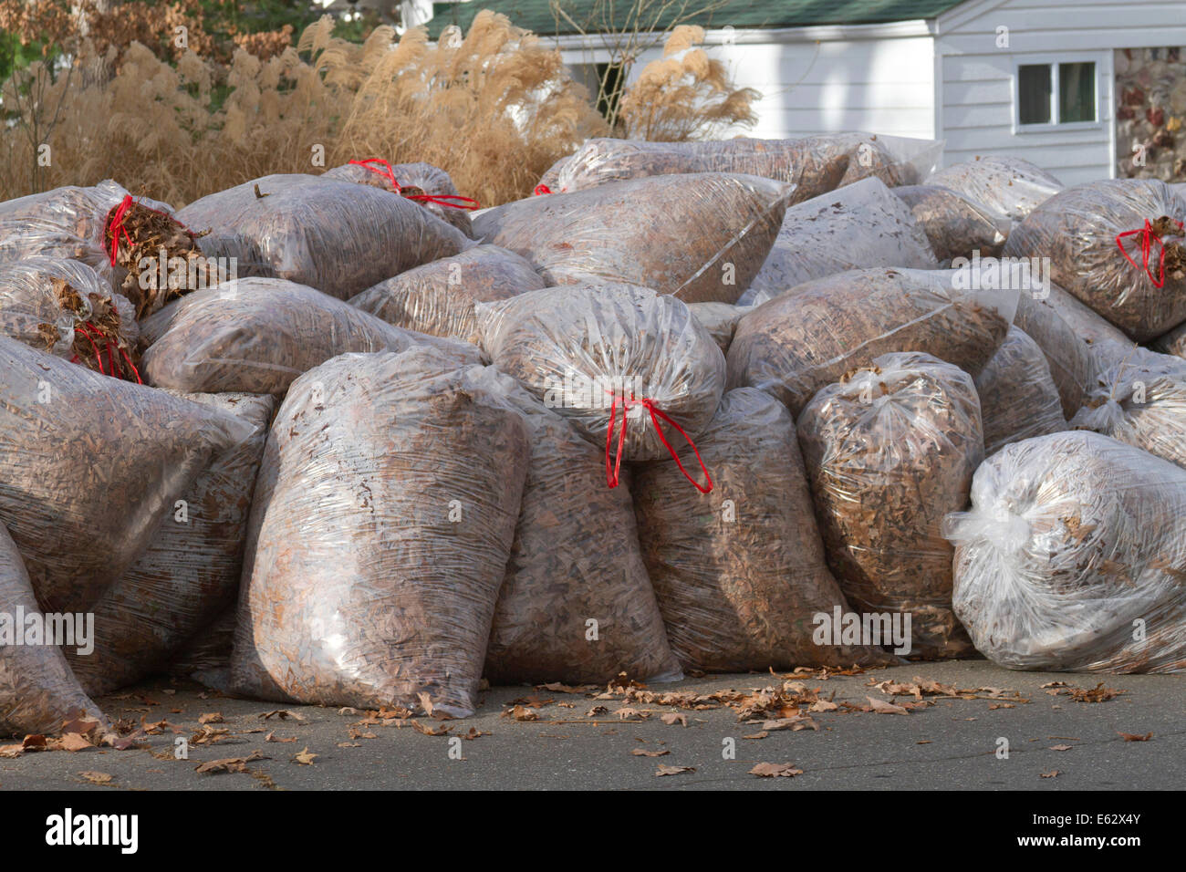 Bags of leaves for disposal hi-res stock photography and images - Alamy