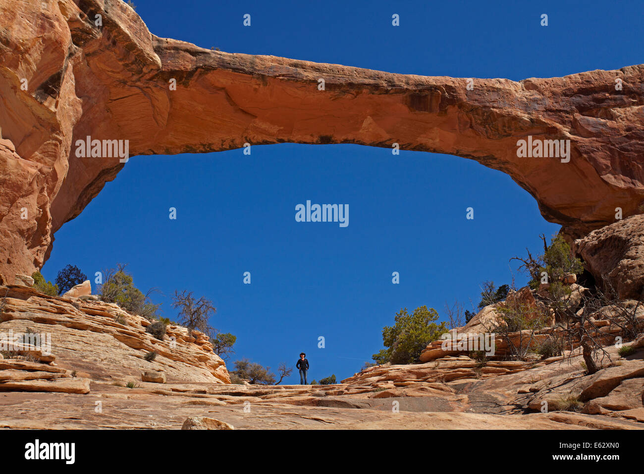 Owachomo Natural Bridge and tourist, Natural Bridges National Monument ...