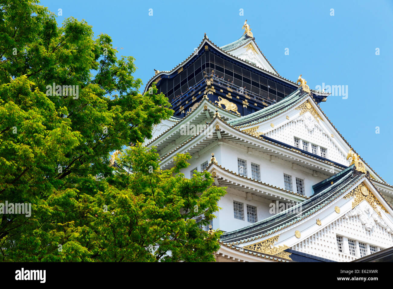 Matsumoto castle in Matsumoto, Japan Stock Photo - Alamy