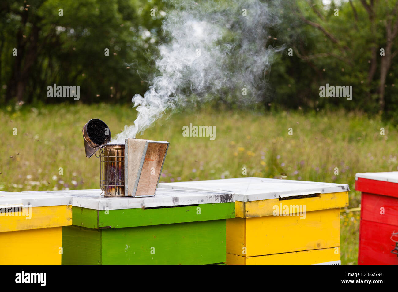 Bee smoker on colourful beehives Stock Photo - Alamy