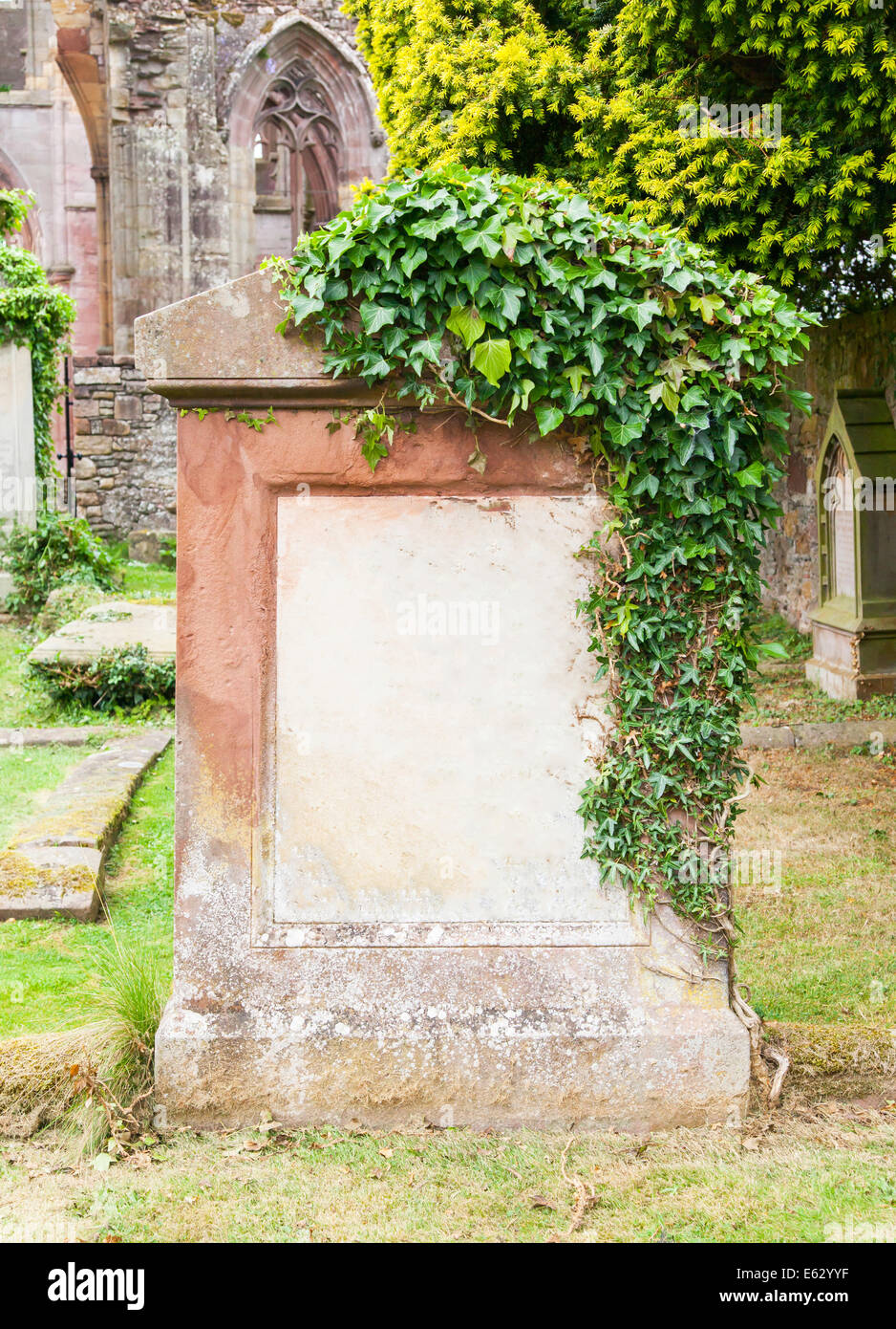Very old gravestone with green leaves, cemetery in Scotland Stock Photo ...