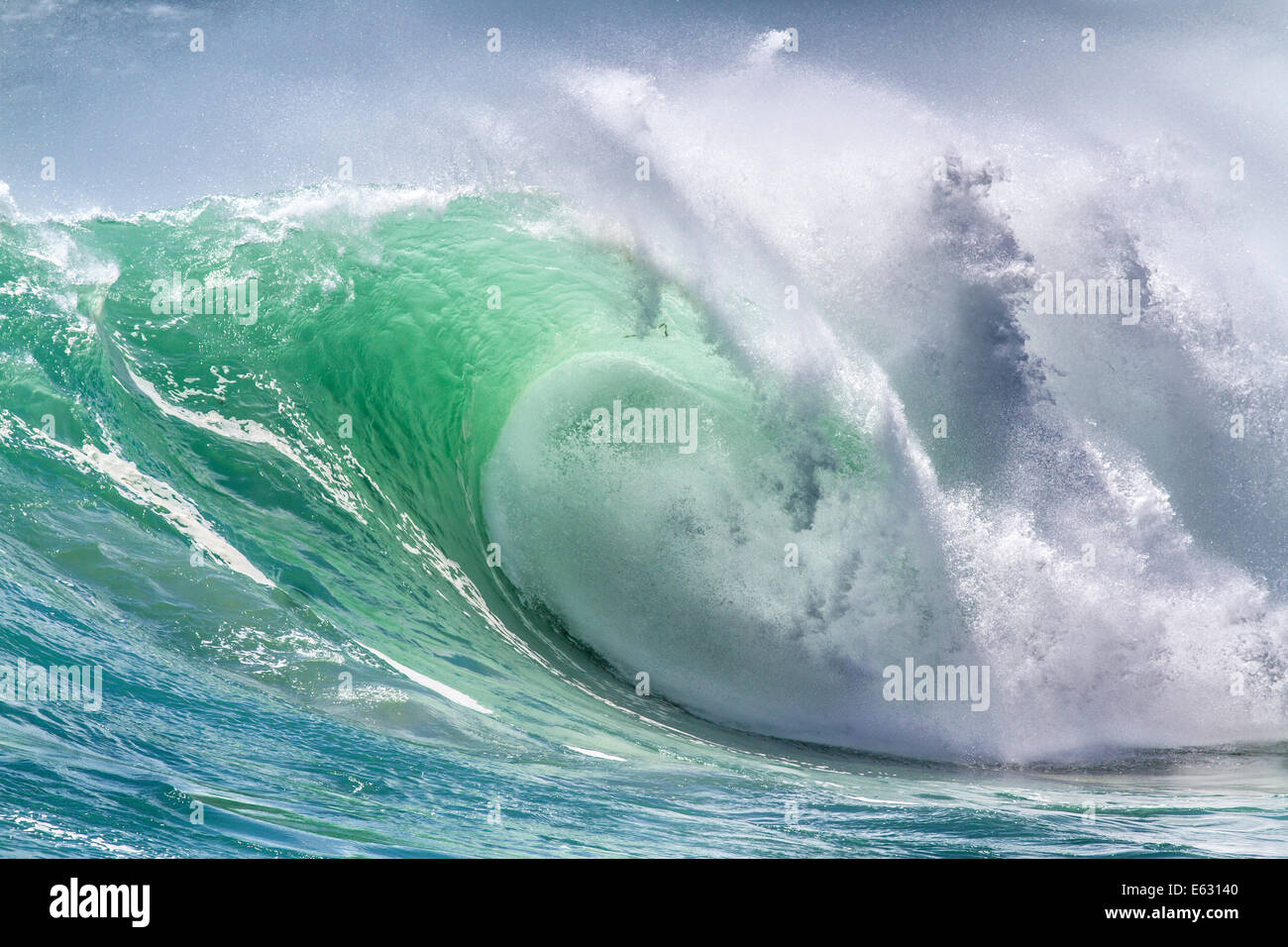Picture of Perfect Ocean Wave. Indian Ocean Stock Photo - Alamy
