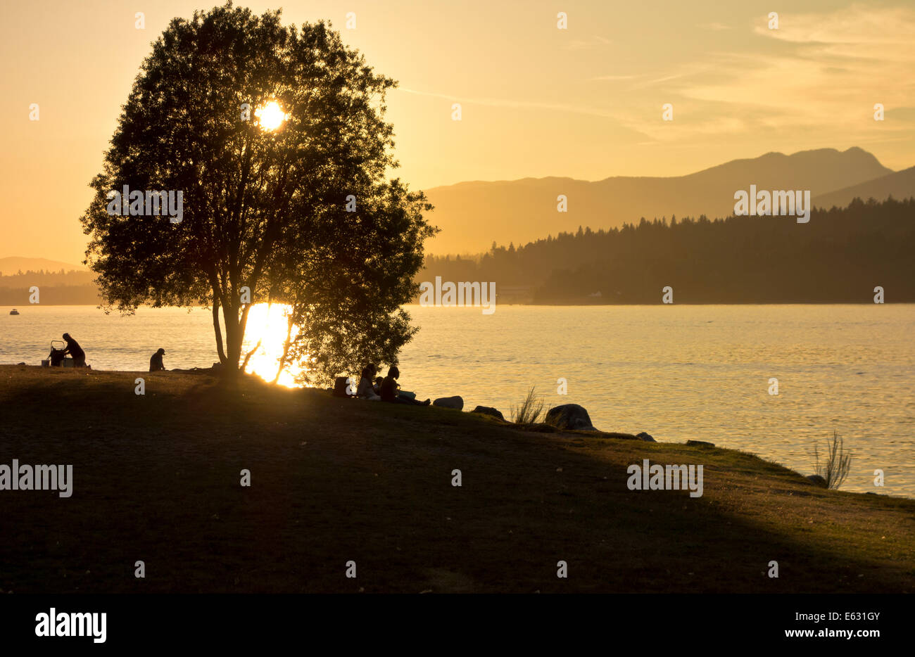 Sunset on Burrard Inlet with water and mountains, silhouettes of tree ...