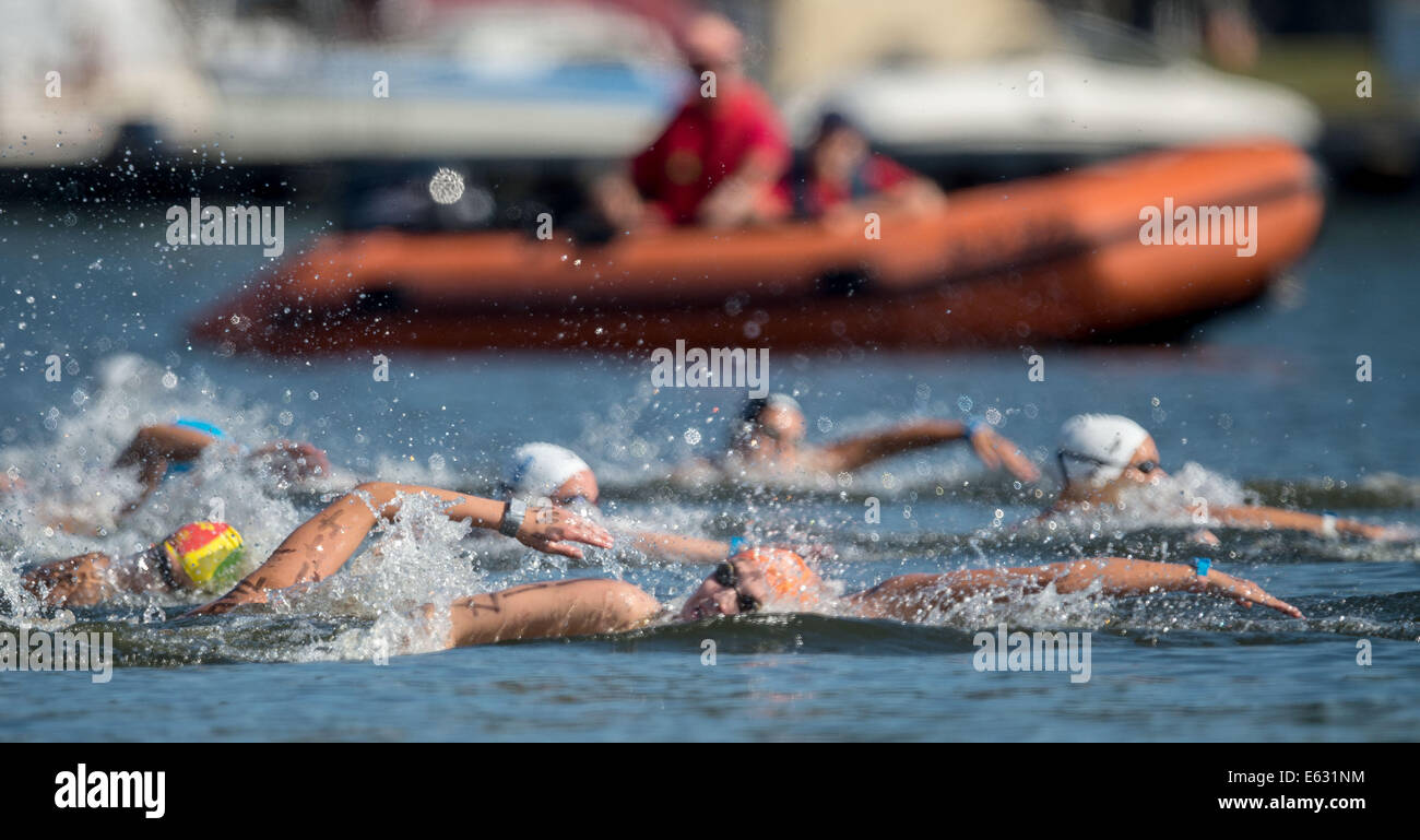 Berlin, Germany. 13th Aug, 2014. Athletes swim during the women's 10km ...