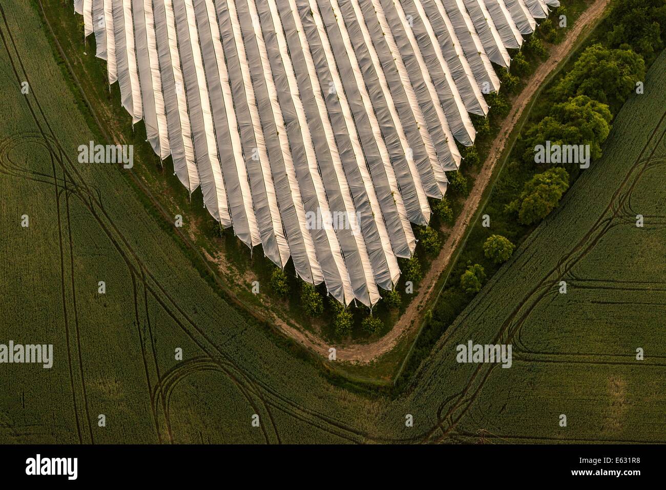 Orchard in the Bohemian Paradise. Libosovice, Czech Republic, June 23 ...