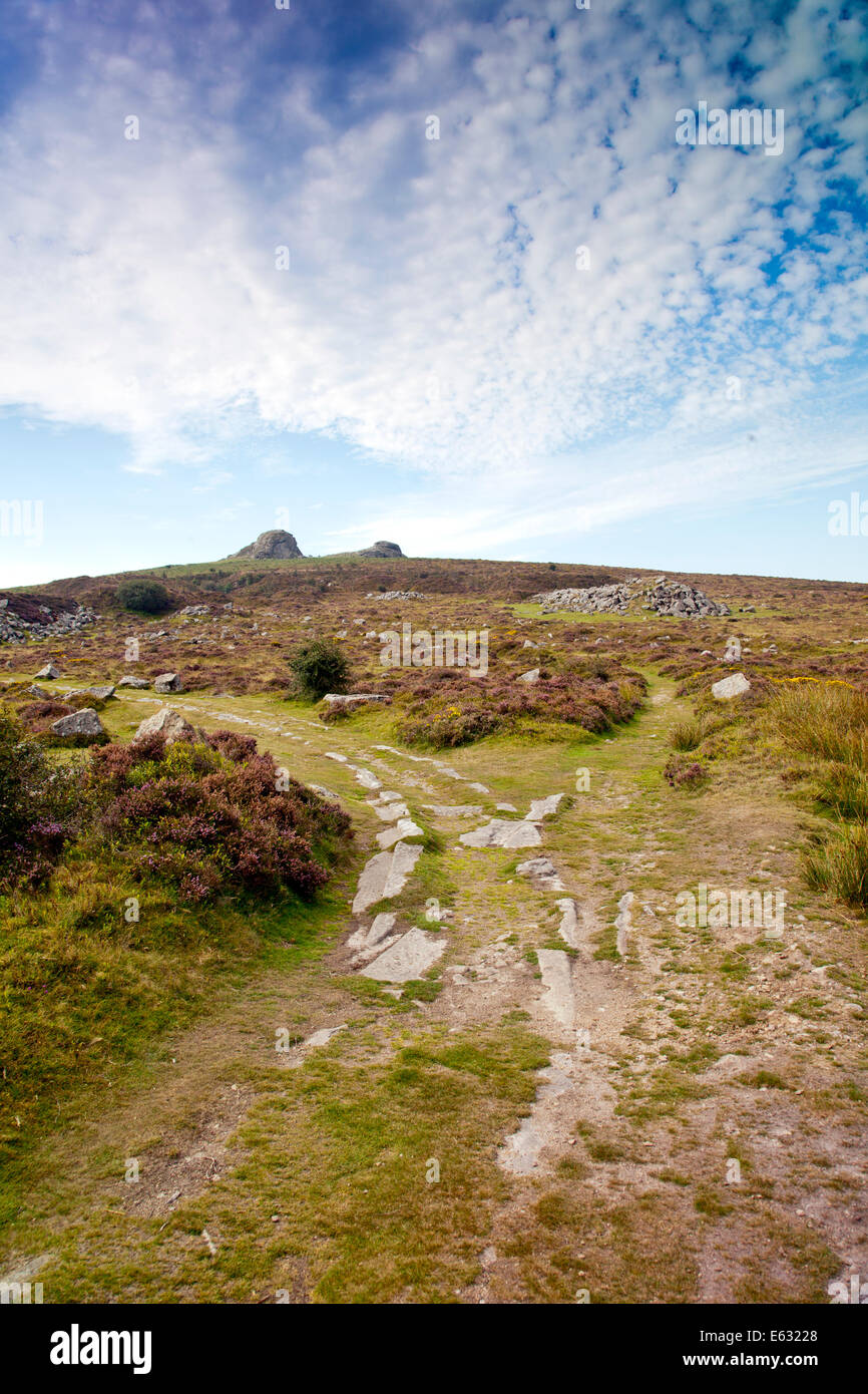 Haytor dartmoor granite tramway hi-res stock photography and images - Alamy