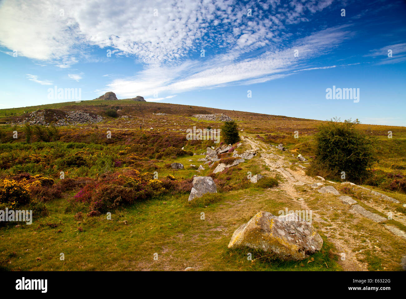 The remains of granite 'rails' of the Haytor tramway from 1820 on ...
