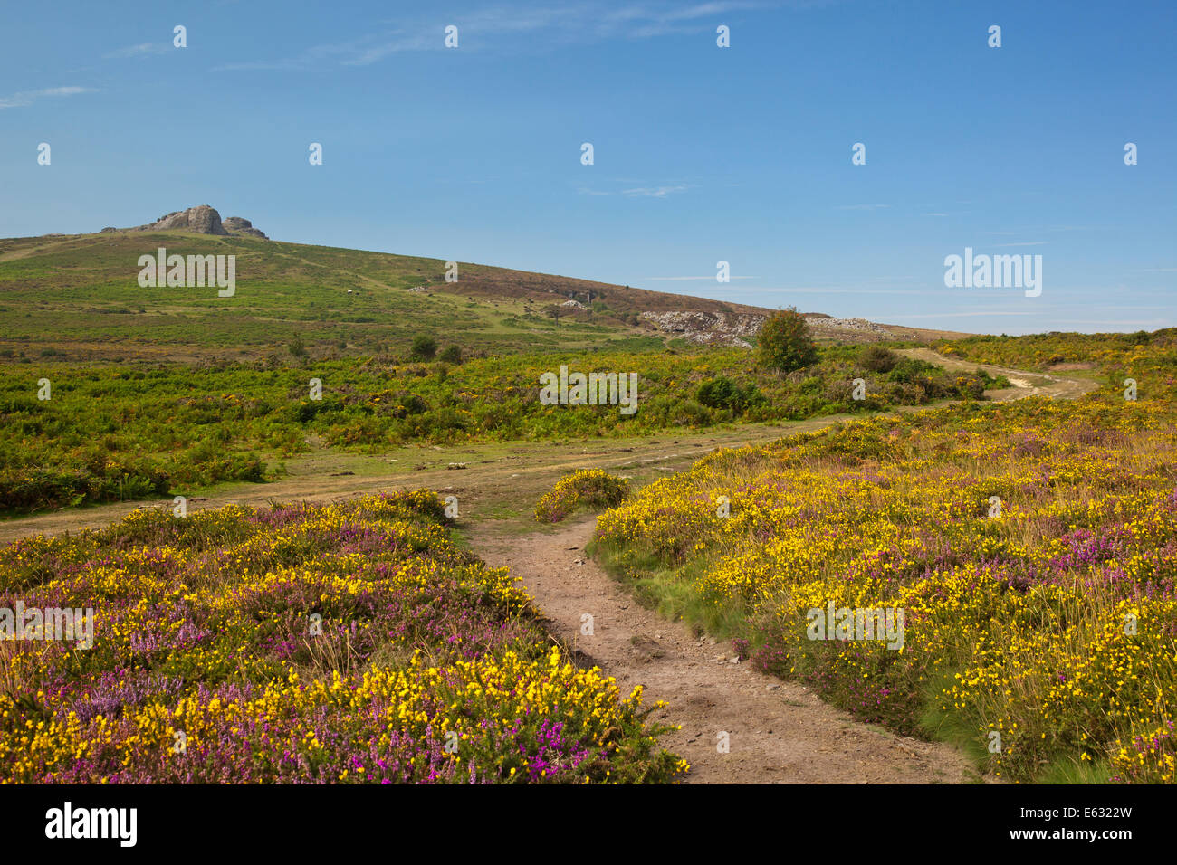 Haytor (1,499ft) - a granite outcrop on Dartmoor with the route of the ...