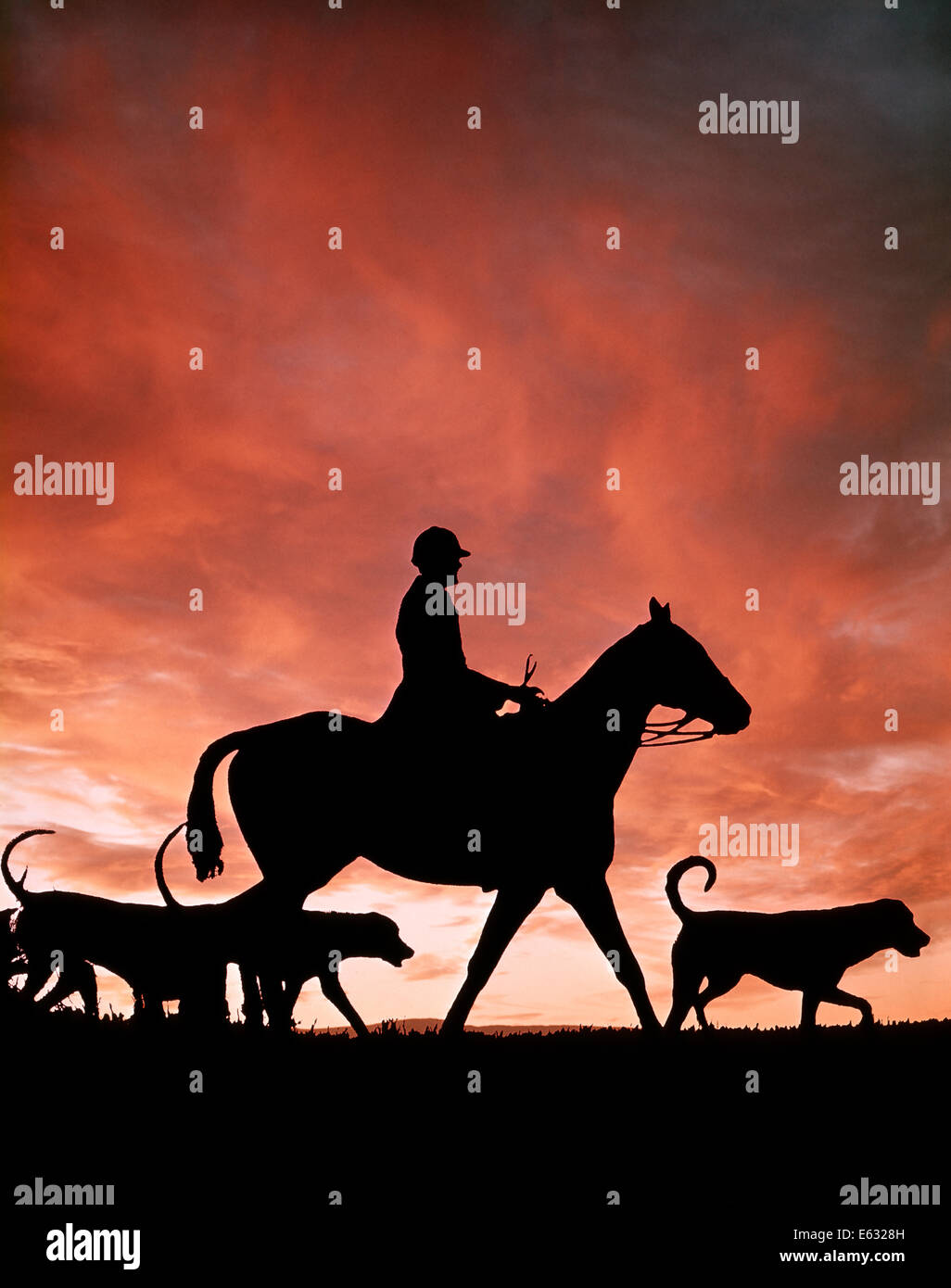 Fox Man High Resolution Stock Photography and Images - Alamy