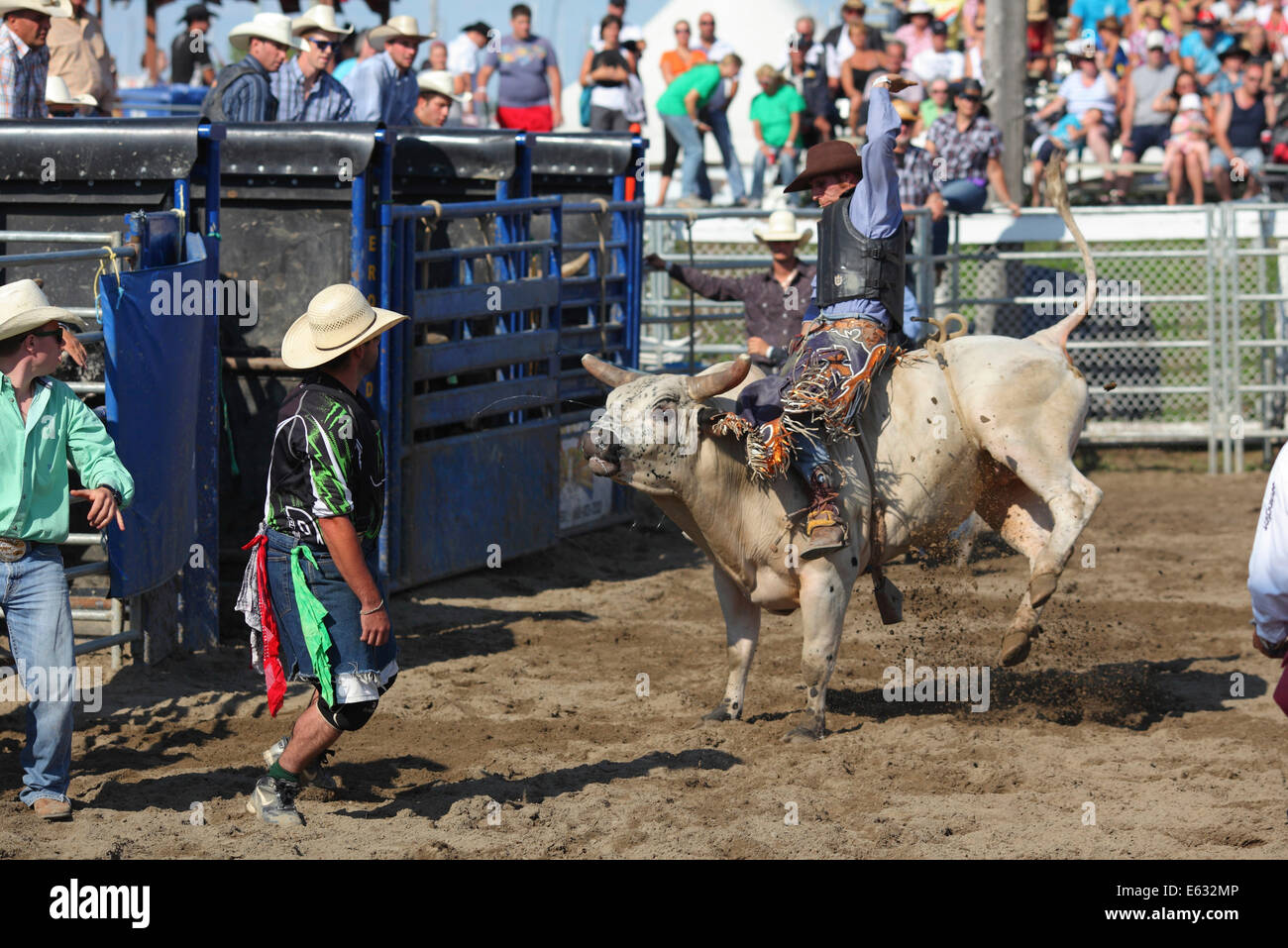 Rodeo, bull riding, Valleyfield, Quebec Province, Canada Stock Photo ...