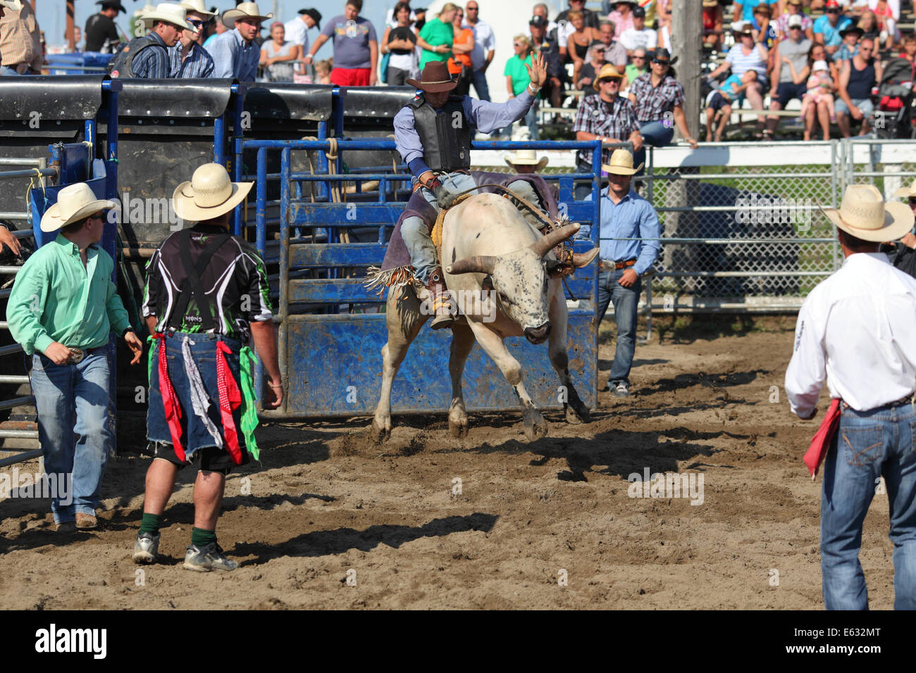 Rodeo bull hi-res stock photography and images - Alamy