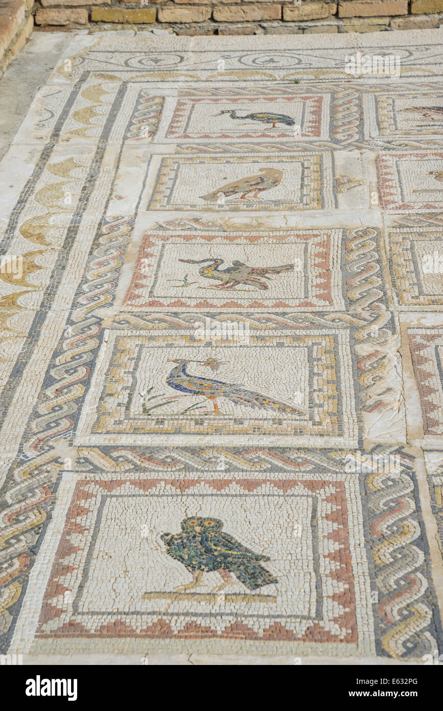 Roman bird mosaic hi-res stock photography and images - Alamy