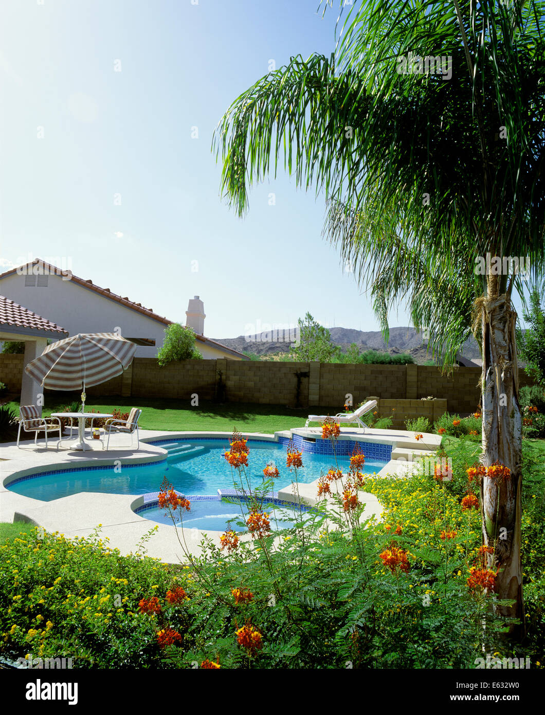 1990s POOL IN BACKYARD PHOENIX ARIZONA USA Stock Photo - Alamy