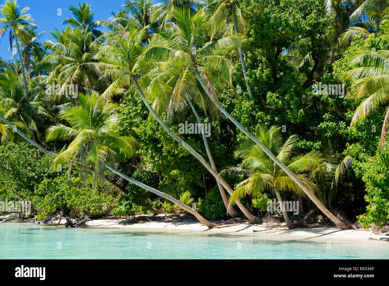 Sea beach palau hi-res stock photography and images - Alamy