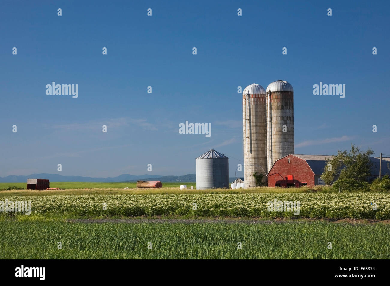 Grain silos of a farm hi-res stock photography and images - Alamy