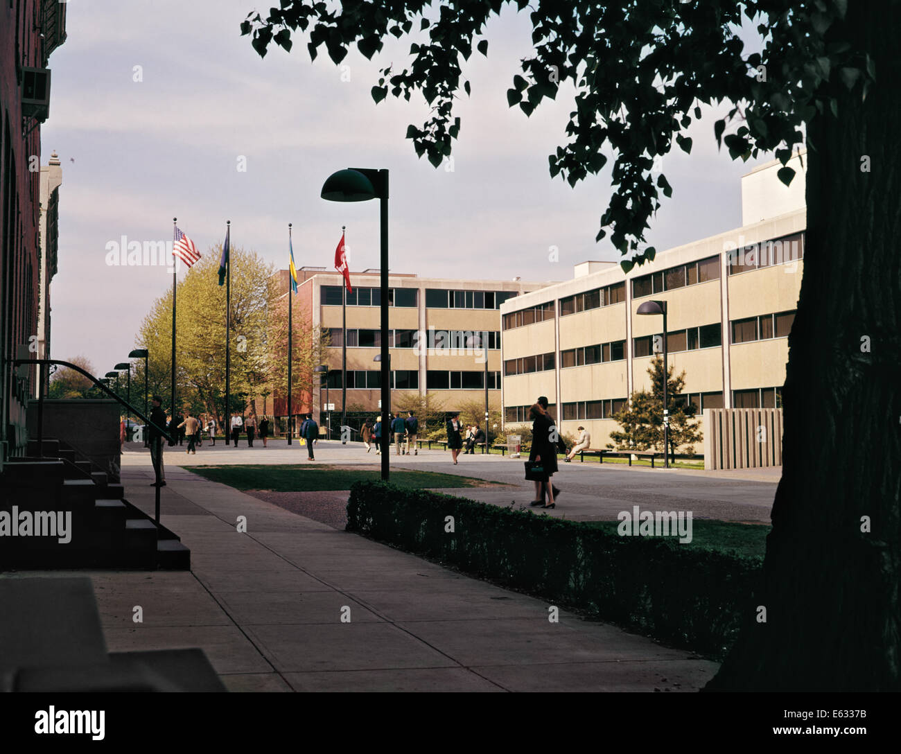 1960s CAMPUS SCENE TEMPLE UNIVERSITY PHILADELPHIA PENNSYLVANIA USA ...