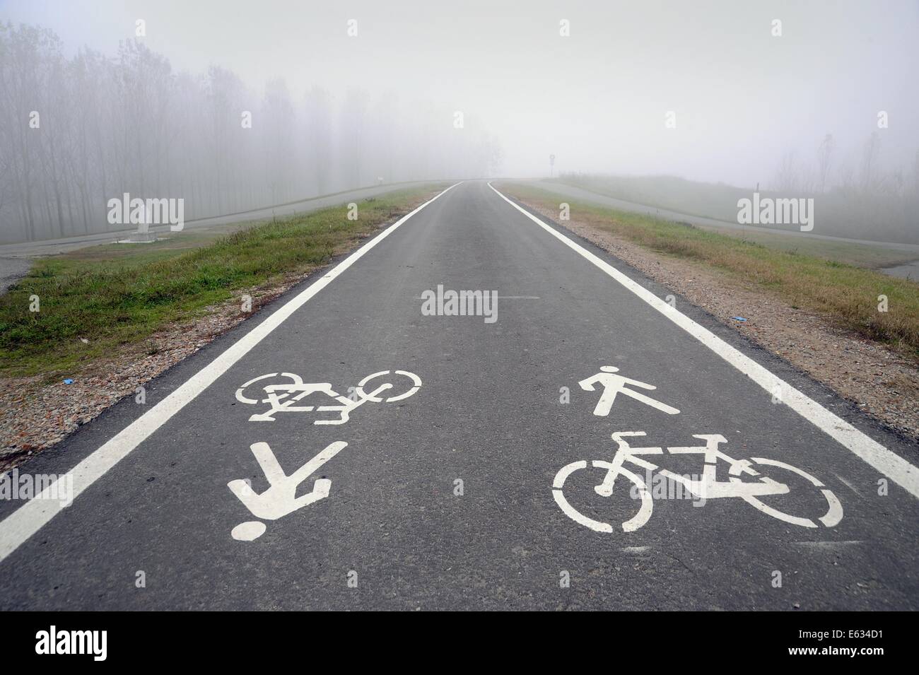 Luzzara (Reggio Emilia, Italy) cycle track on the bank of Po river ...