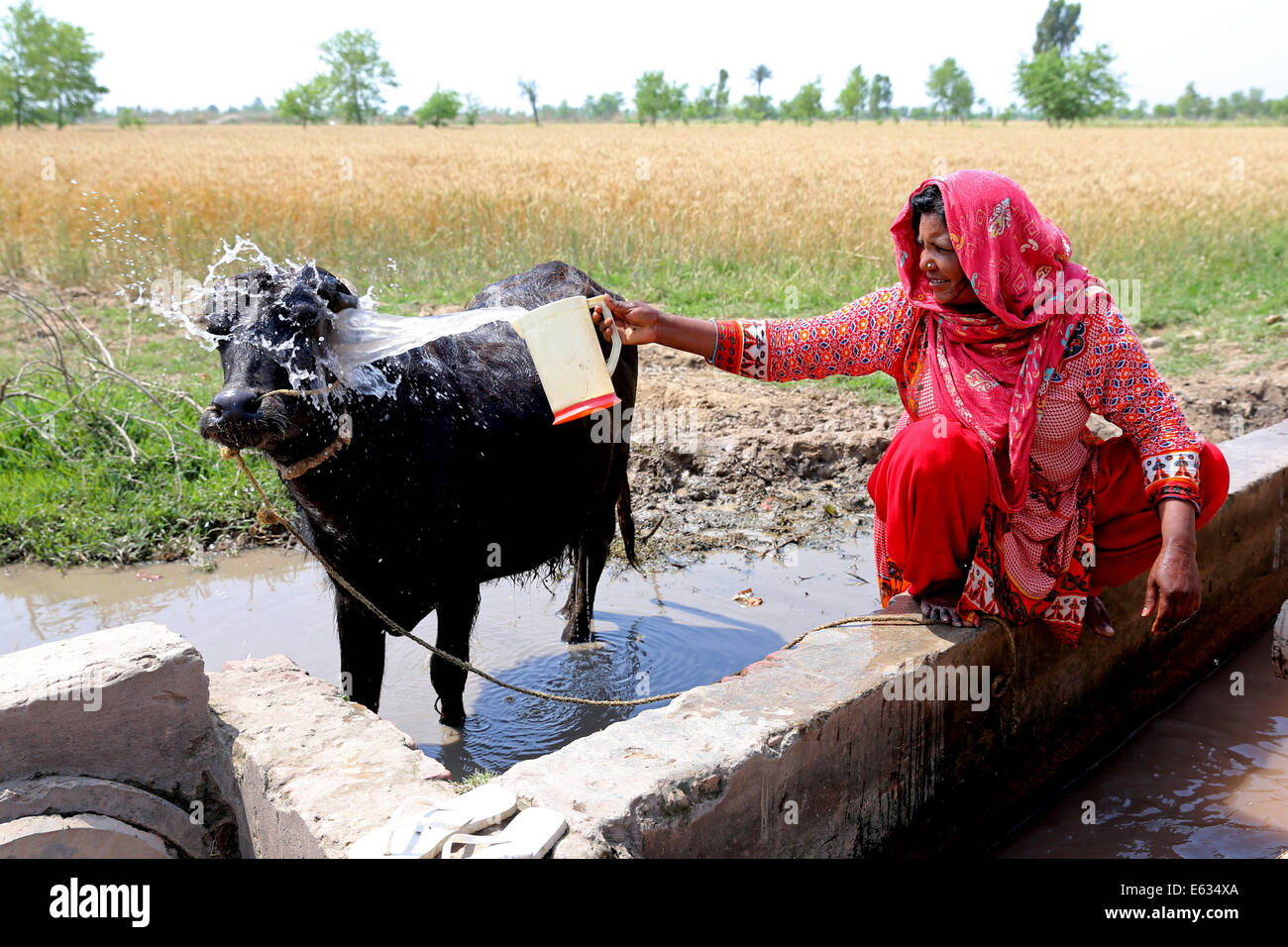 Farmer wash hi-res stock photography and images - Alamy