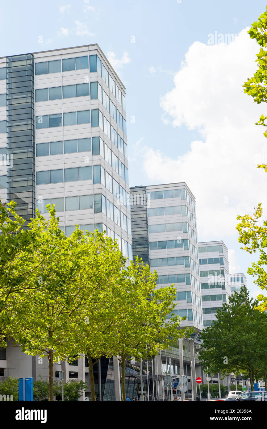 Geometric perspective of four modern glass business office building ...