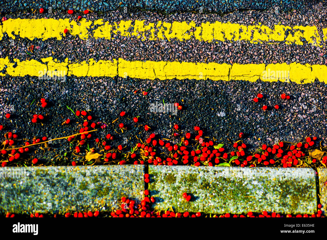 Red yellow markings hi-res stock photography and images - Alamy