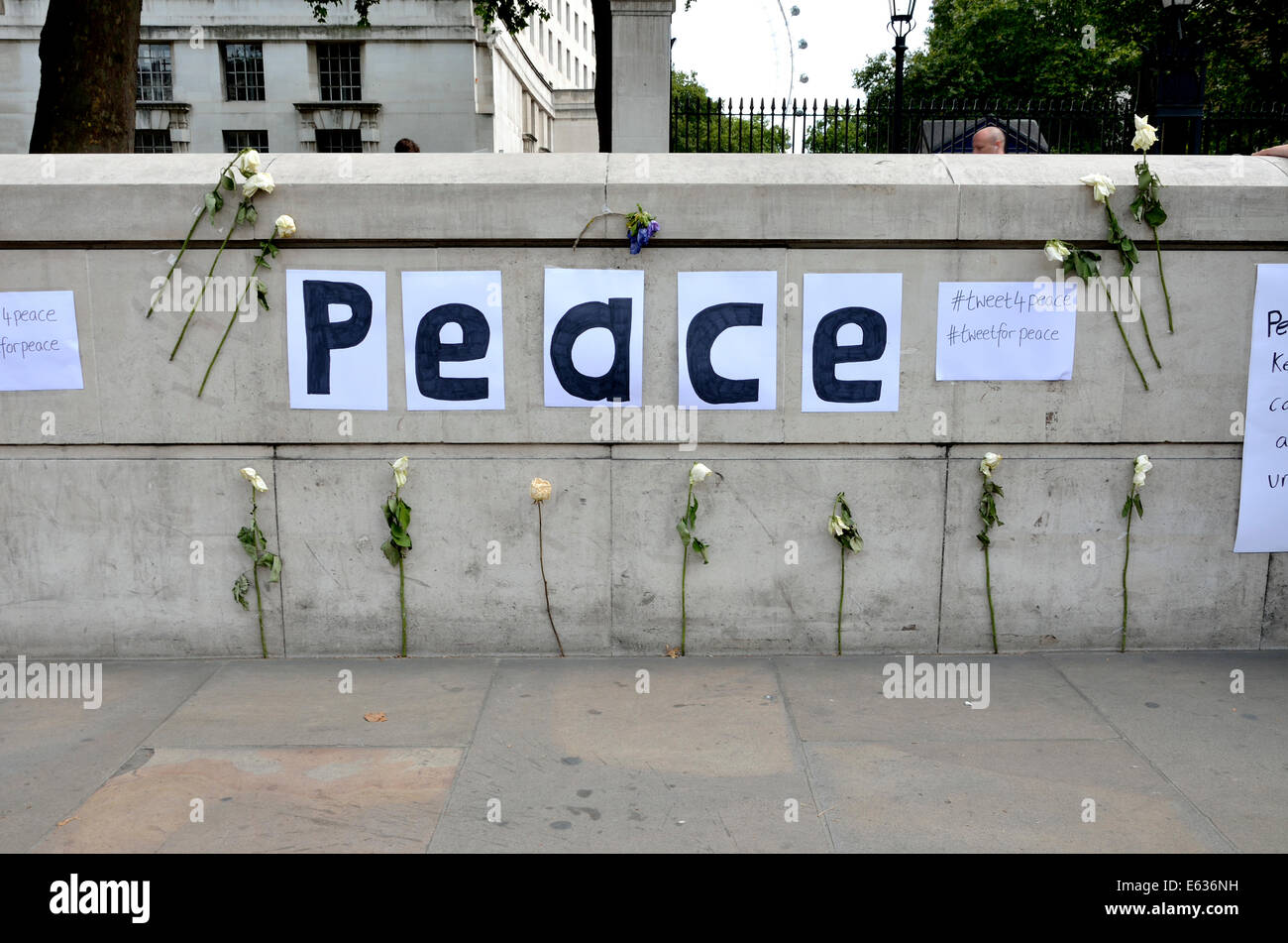 Protest flowers hi-res stock photography and images - Alamy
