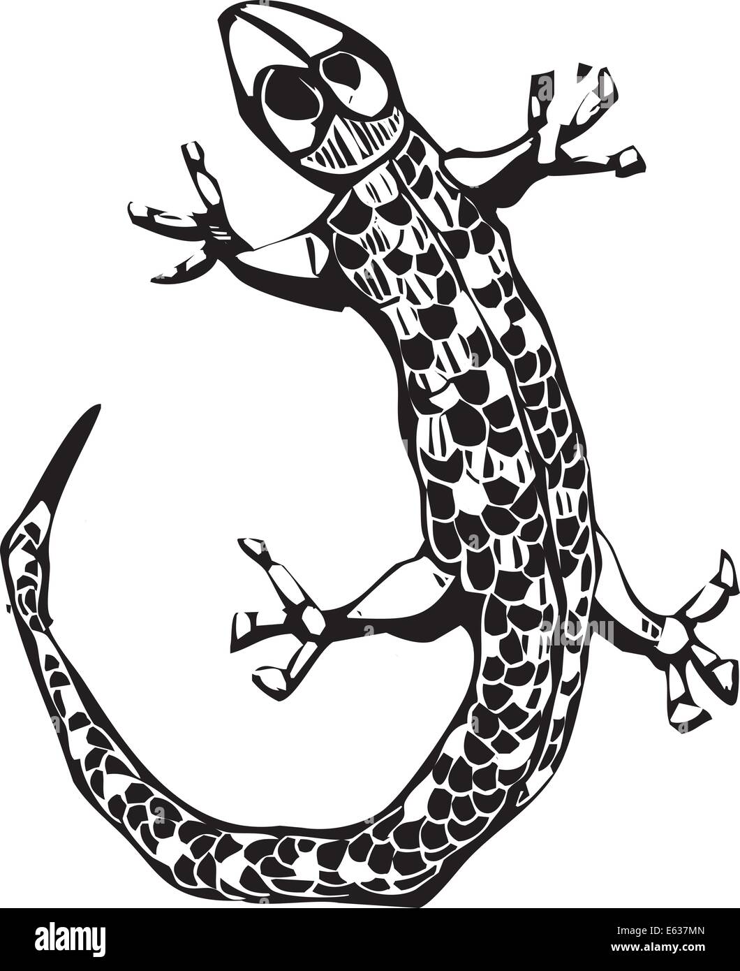 A simple lizard done in a woodcut style Stock Vector Image & Art - Alamy
