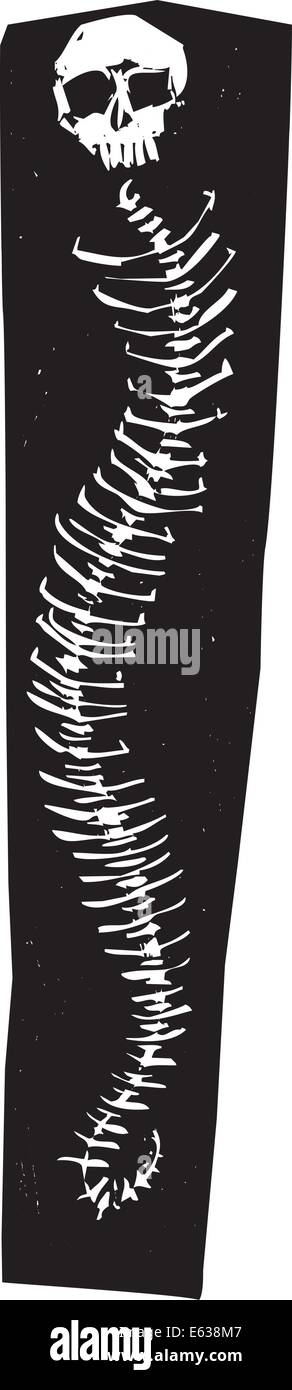 Snake skeleton image Stock Vector Images - Alamy