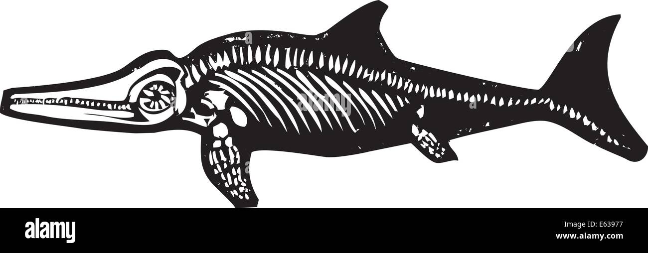 Fossil fish extinct Stock Vector Images - Alamy