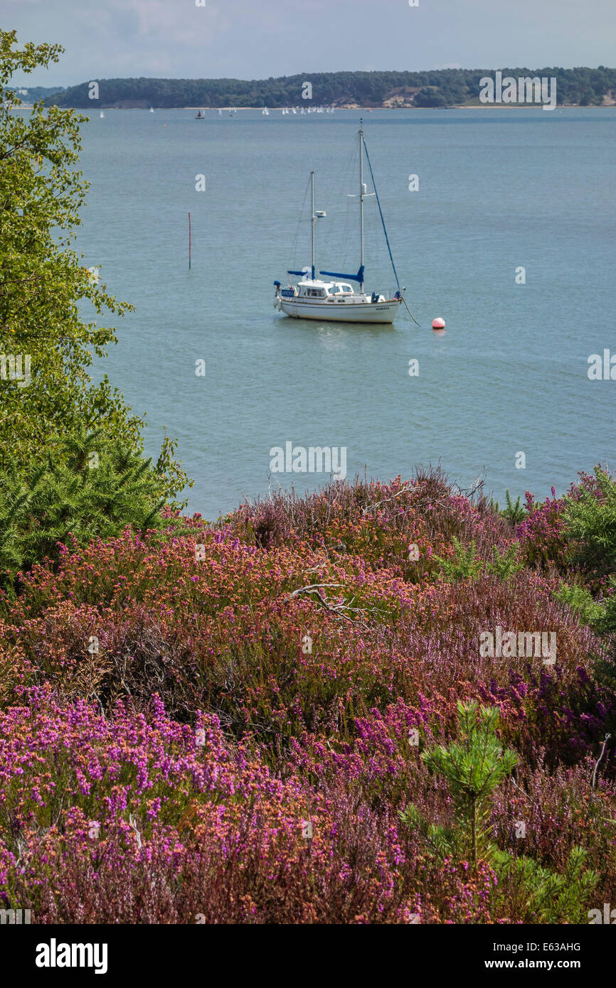 Boat anchored at shipstal point hi-res stock photography and images - Alamy