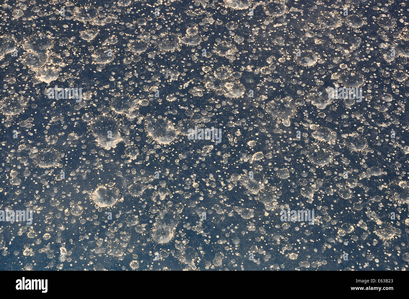 Sahara rain dust mud stains background. Desert sand from Africa ...