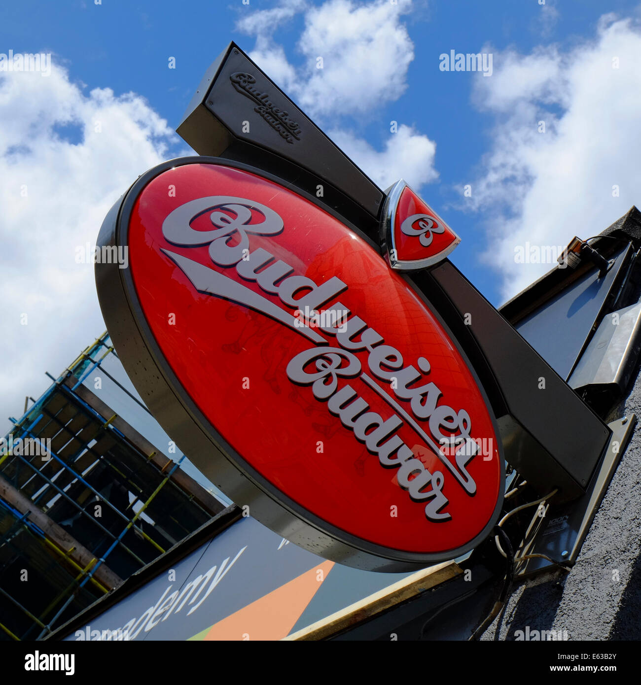 Budweiser budvar beer hi-res stock photography and images - Alamy