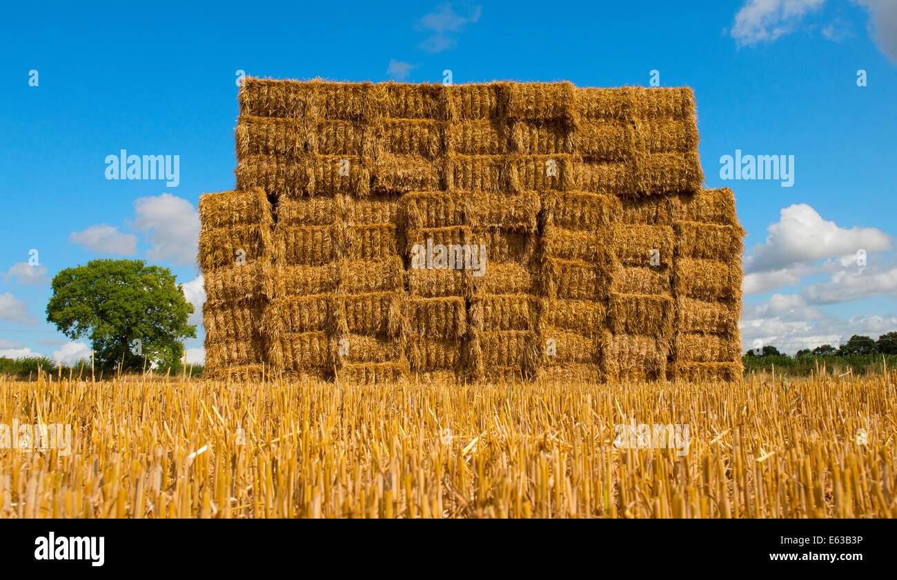 A stack of hay bales in a Shropshire field Stock Photo - Alamy
