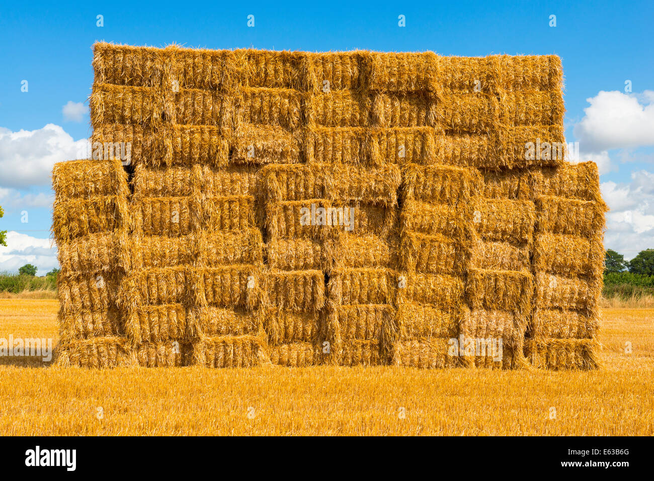 Needle in a haystacks hi-res stock photography and images - Alamy