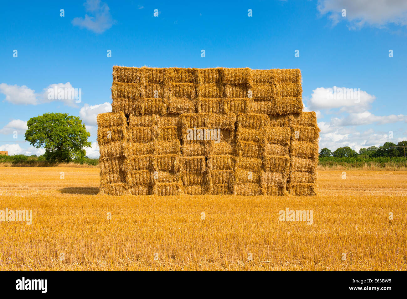 A stack of hay bales in a Shropshire field Stock Photo - Alamy