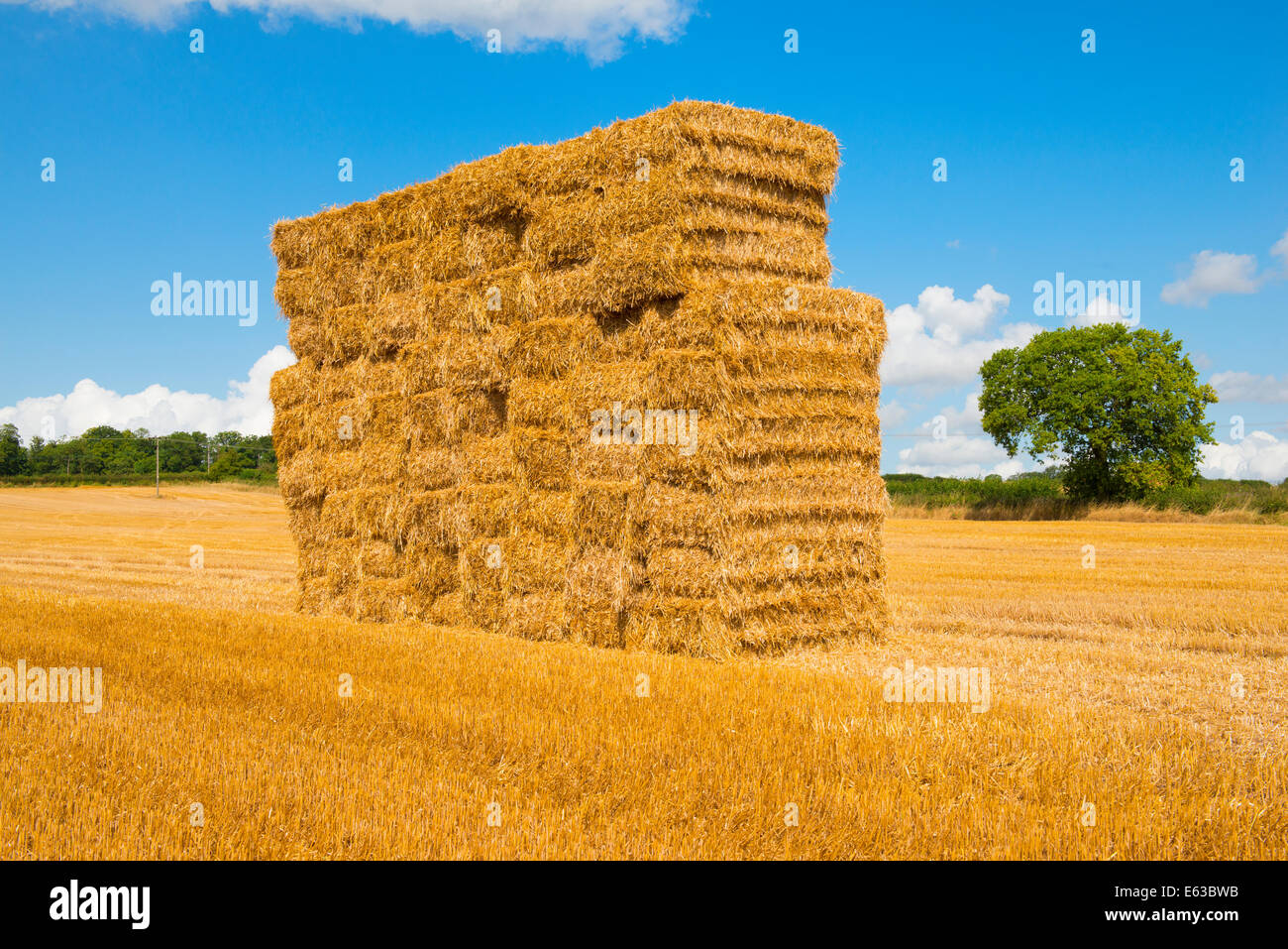 A stack of hay bales in a Shropshire field Stock Photo - Alamy