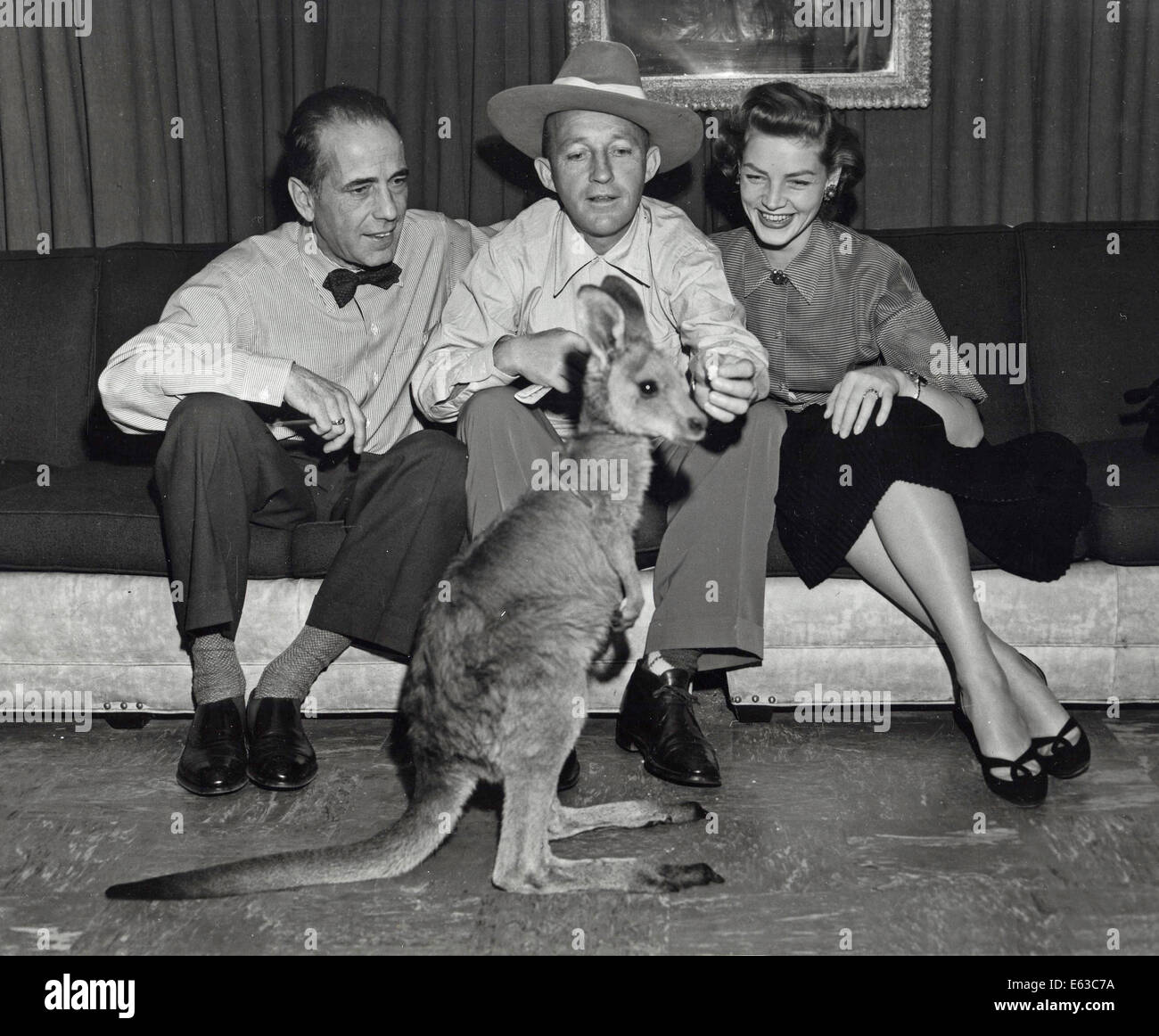 American comedic actress hi-res stock photography and images - Alamy