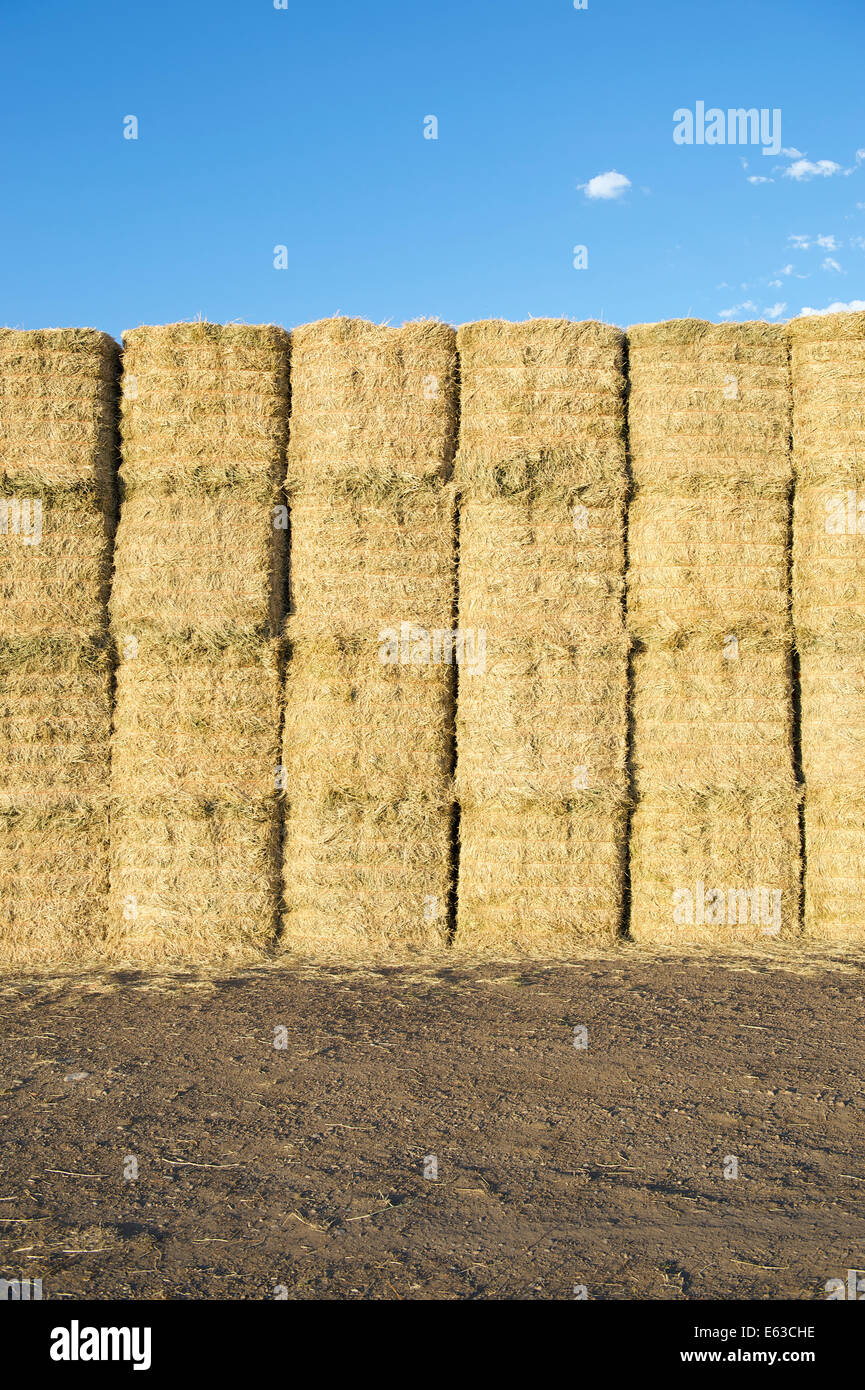 Hay bales line up in rectangular haystack under blue country sky Stock ...
