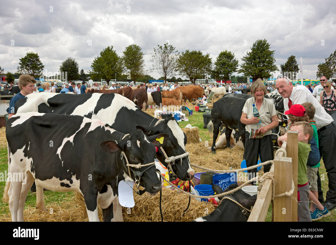 Farmers and their cows cattle at the Driffield Agricultural Country ...