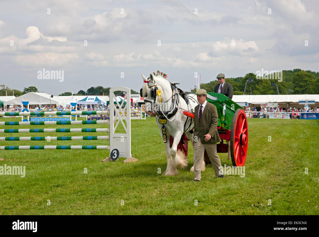 Man leading carthorse traditional horse and cart in summer Driffield ...