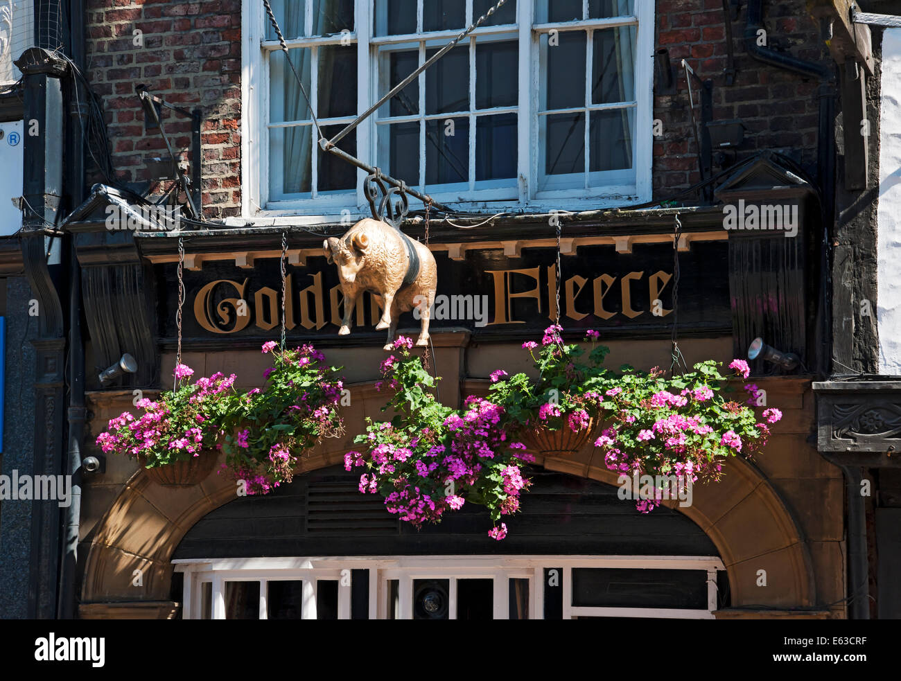 Close up of The Golden Fleece ram pub sign signage in summer York North ...